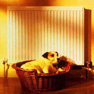 Solid Fuel Association - Advice for consumers & professionals